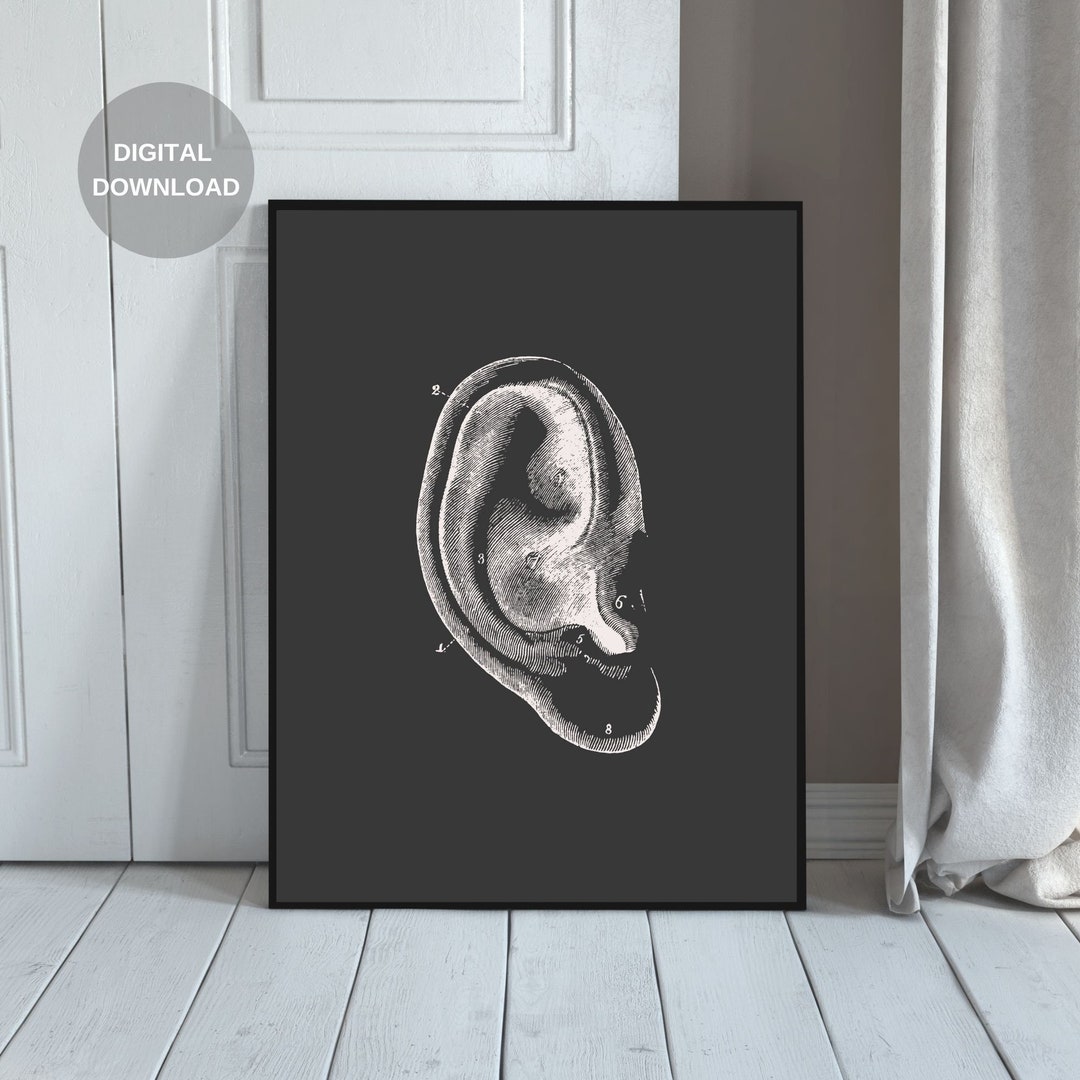 Human Anatomy Print, Ear Print, Printable Wall Art, Vintage Anatomy ...