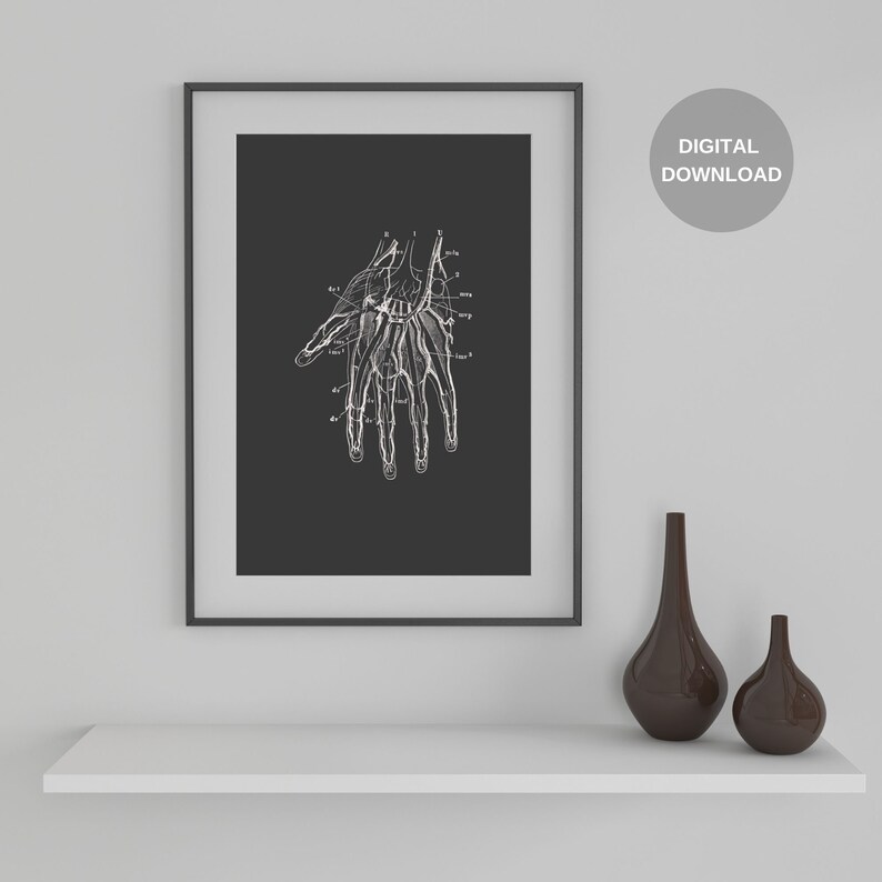 Human Anatomy Print, Hand Print, Printable Wall Art, Vintage Anatomy ...