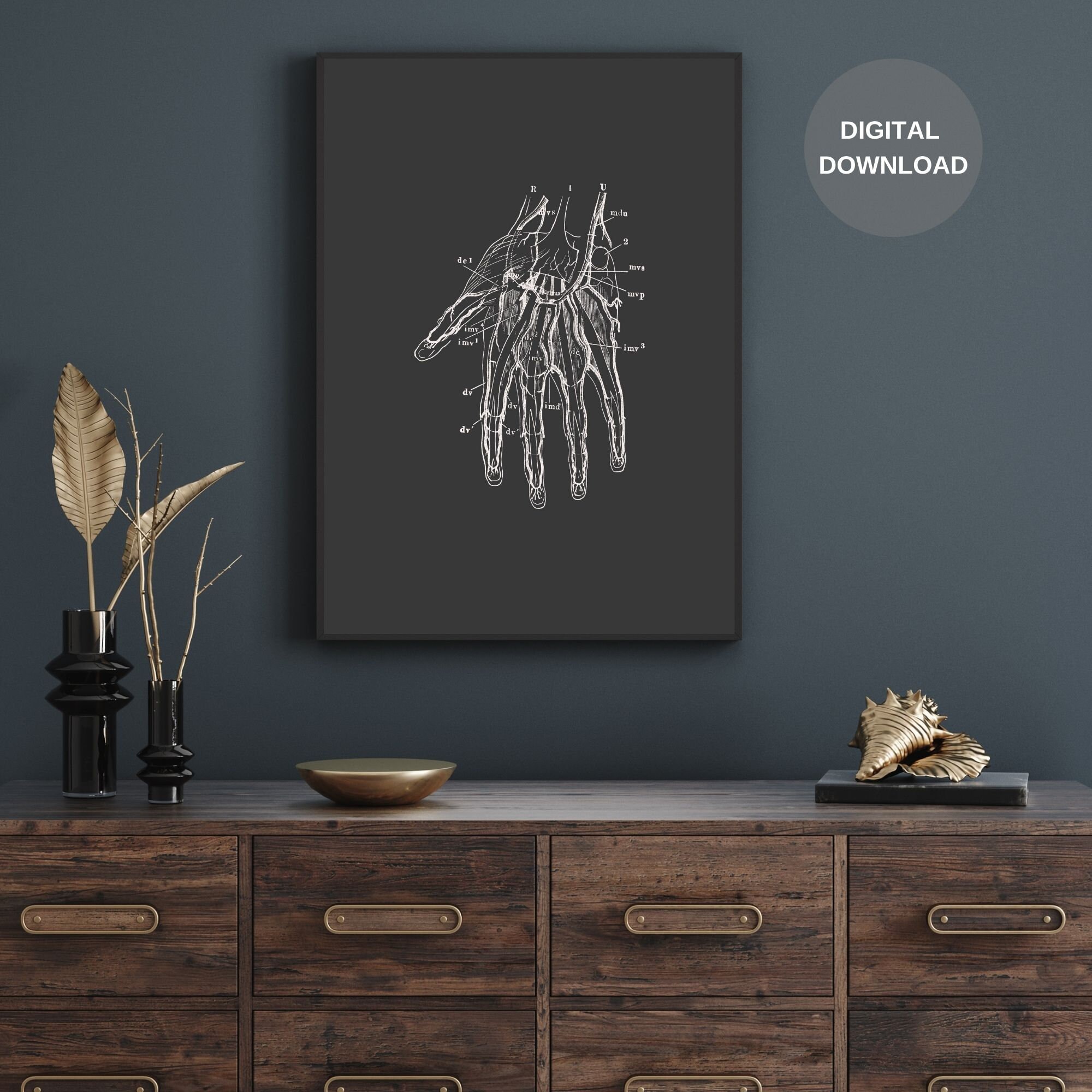 Human Anatomy Print, Hand Print, Printable Wall Art, Vintage Anatomy ...