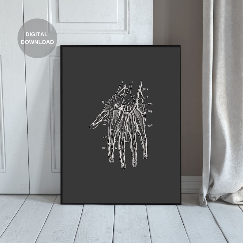 Human Anatomy Print, Hand Print, Printable Wall Art, Vintage Anatomy ...