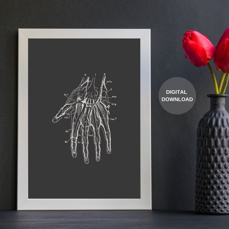 Human Anatomy Print, Hand Print, Printable Wall Art, Vintage Anatomy ...