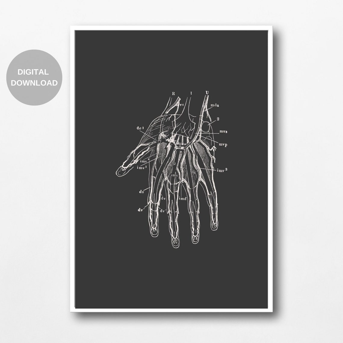 Human Anatomy Print Hand Print Printable Wall Art Vintage - Etsy