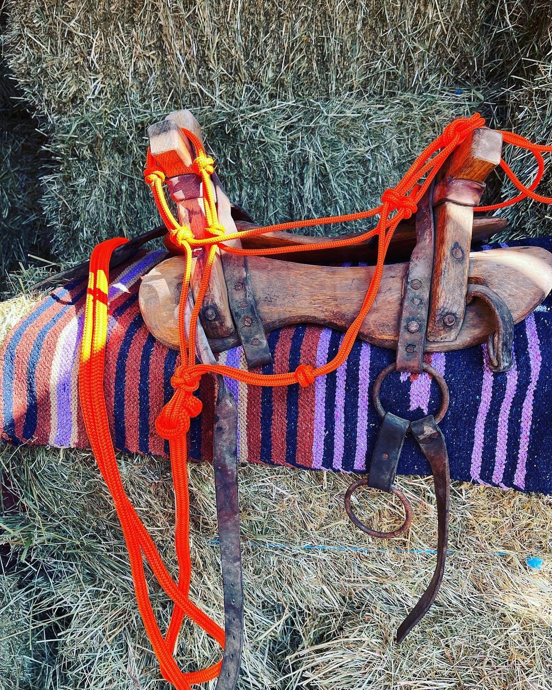 Clinician Style Rope Halter and Lead - Etsy