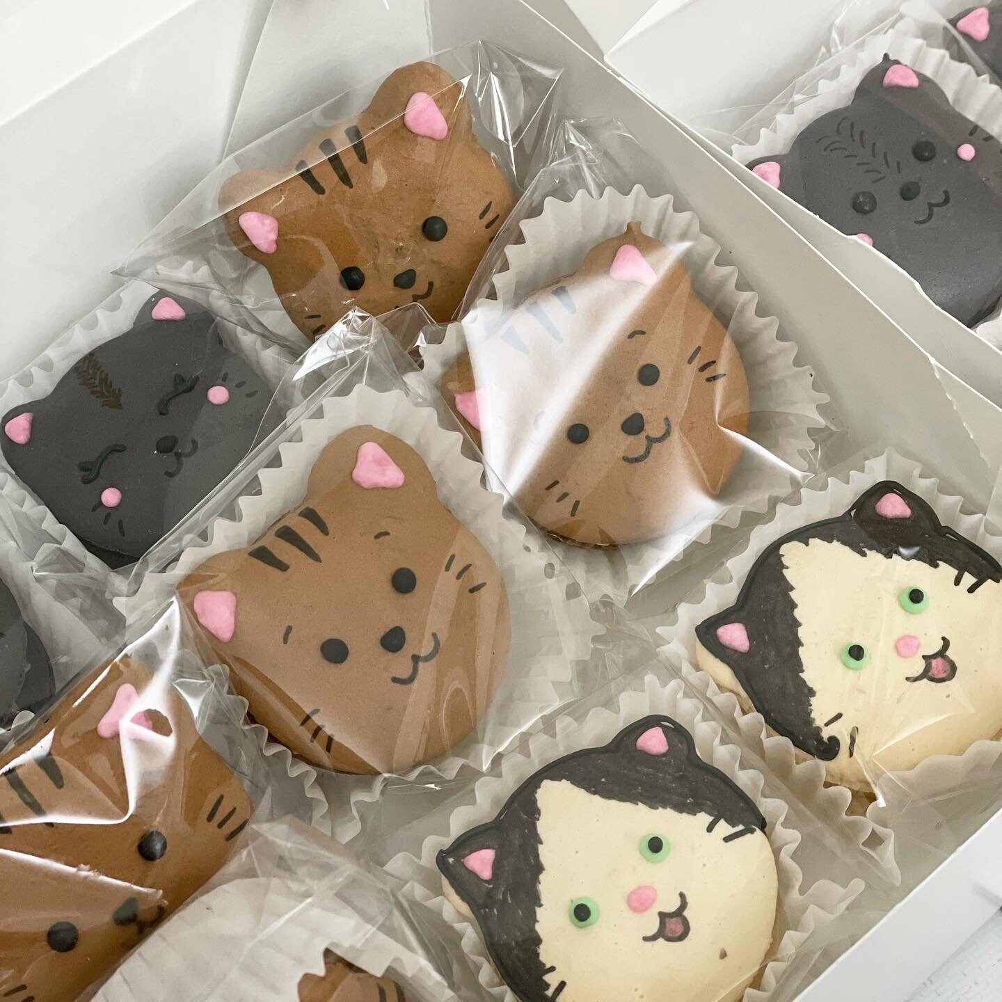 Cat Macaron Template, Oioisweets, Halloween Macaron Template, Halloween ...