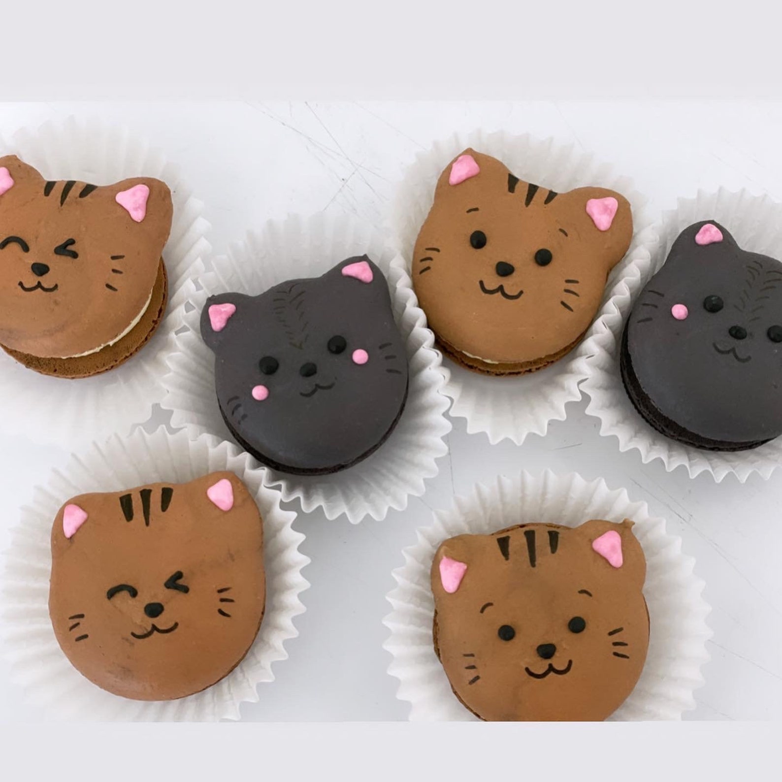 Cat Macaron Template, Oioisweets, Halloween Macaron Template, Halloween ...