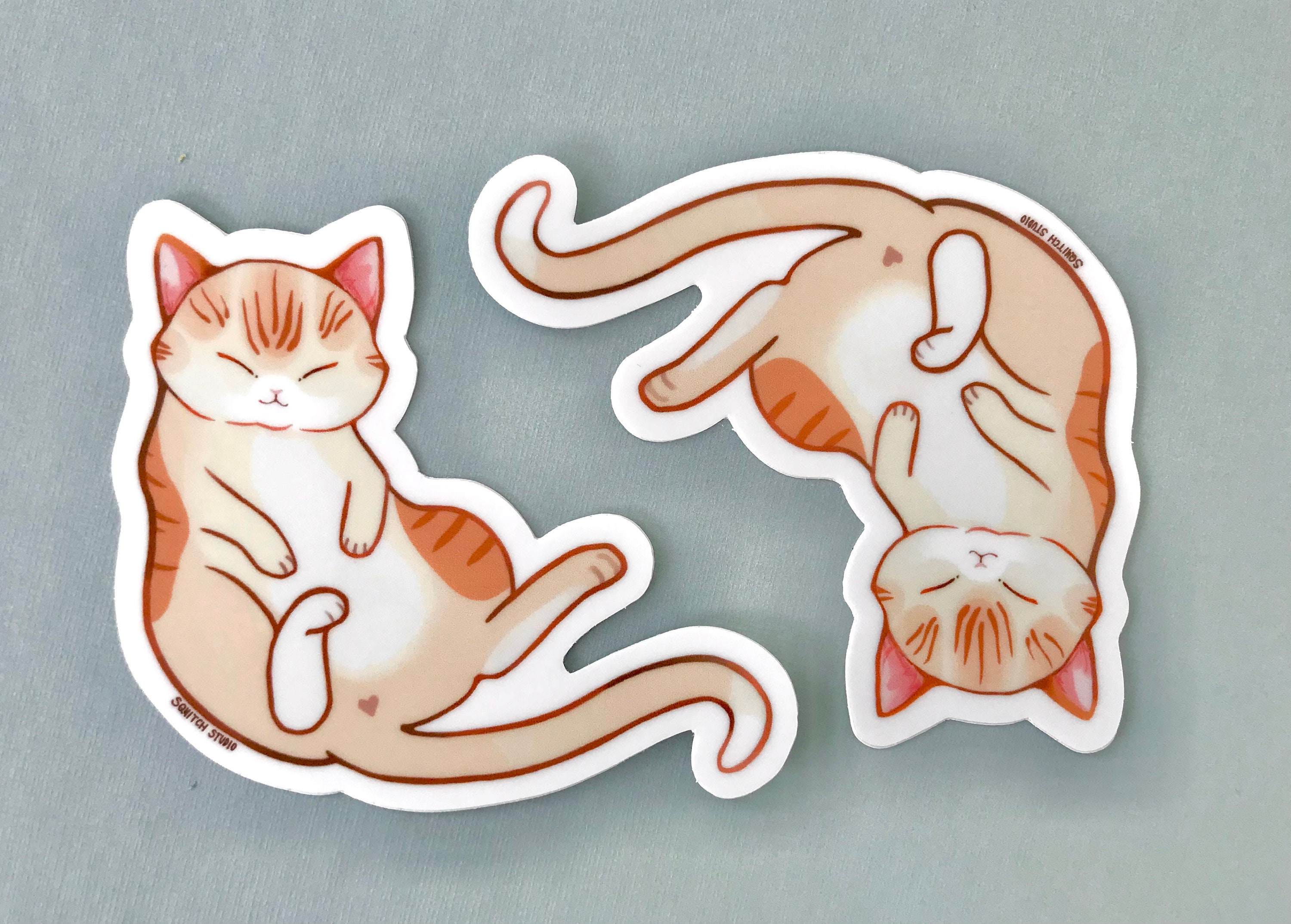 Myles Requests Belly Rubs Matte Vinyl Weather Resistant Cute Cat ...