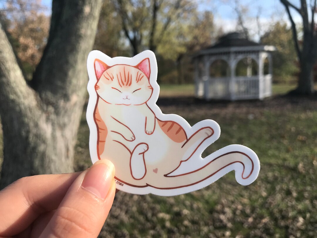 Myles Requests Belly Rubs Matte Vinyl Weather Resistant Cute Cat ...