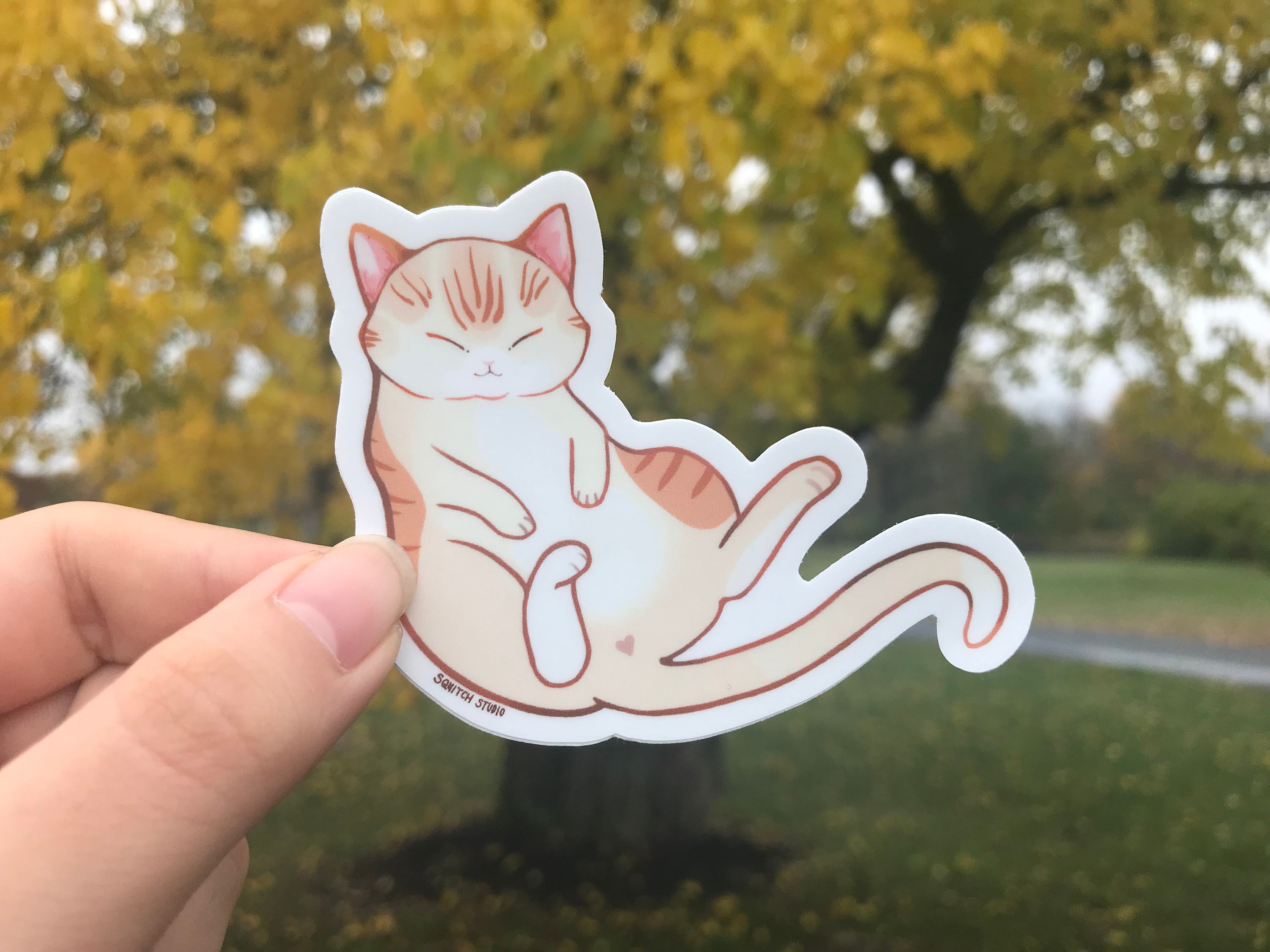 Myles Requests Belly Rubs Matte Vinyl Weather Resistant Cute Cat ...