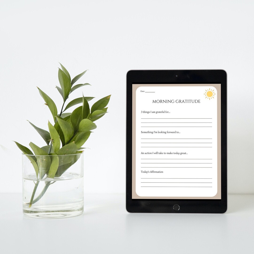 Gratitude Journal Daily Reflection Daily Mindful Journal - Etsy