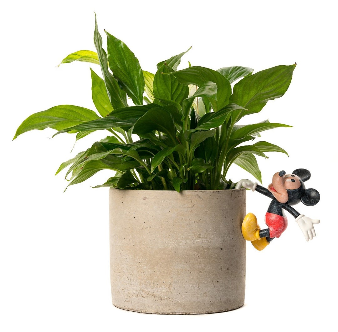 Disney Mickey Mouse Pot Buddy Pot Pendant Garden - Etsy