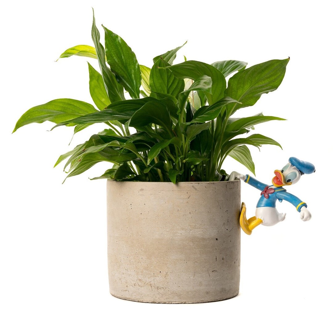 Disney Donald Duck Pot Buddy Pot Pendant Garden Decoration - Etsy