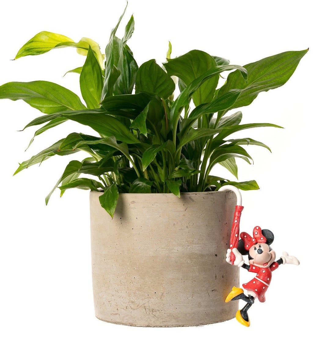 Disney Minnie Mouse Pot Buddy Pot Pendant Garden Decoration - Etsy