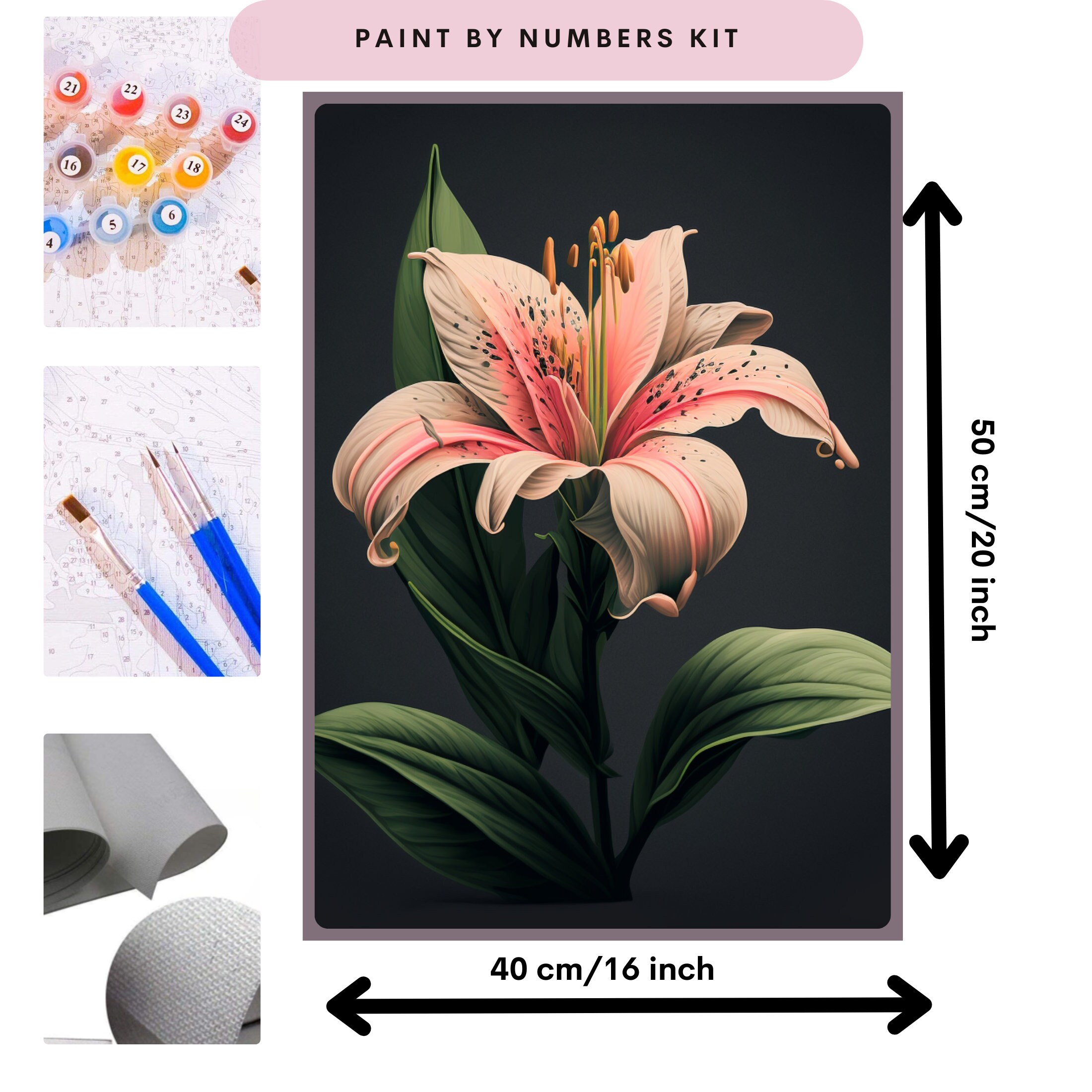 Lily Flower Acrylic Painting Kit - Paint by Numbers Kit Floral Art ...