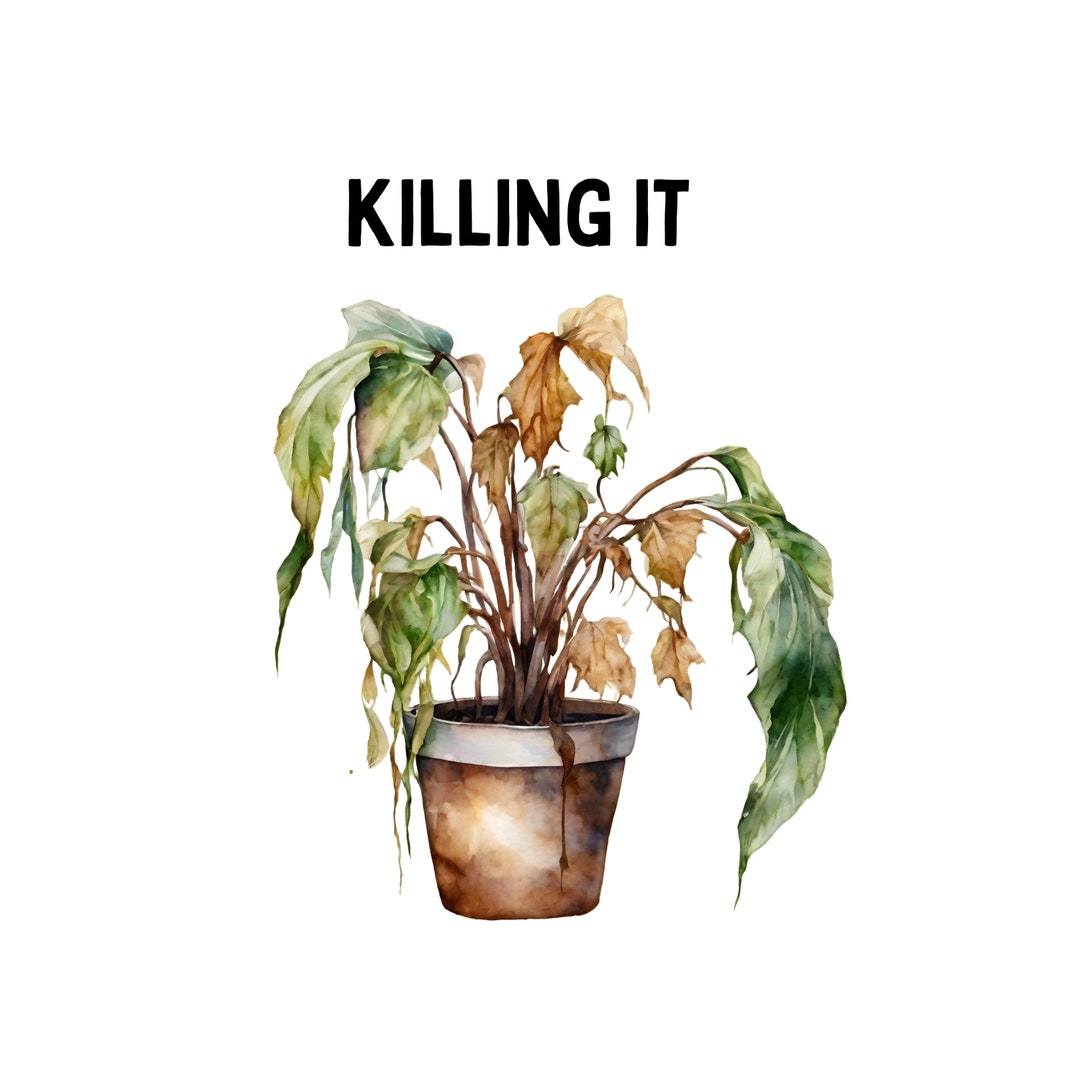 Killing It Shirt, Obviously I'm Killing It, Out Here Killing It, You're ...
