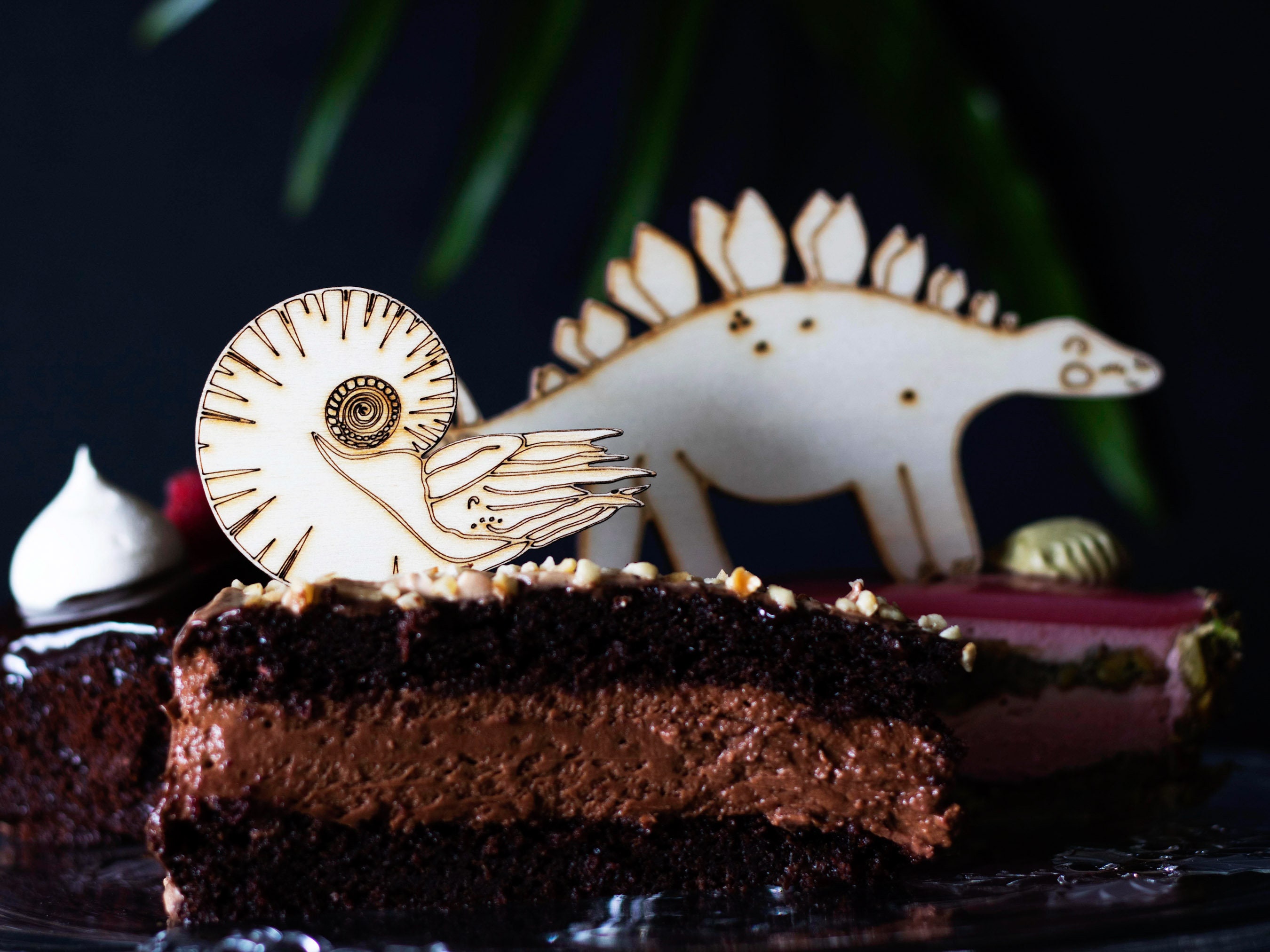 Cake Topper Ammonite Prehistoric Unique Wooden Laser - Etsy