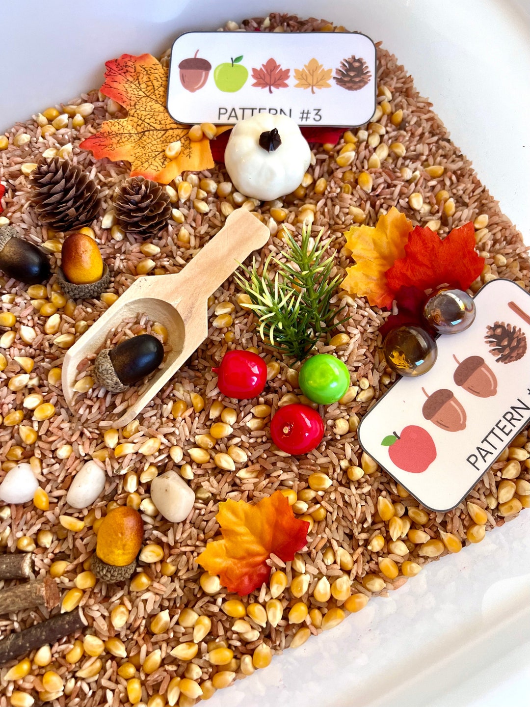 Autumn Sensory Play Bin With Educational Fall Activities - Etsy