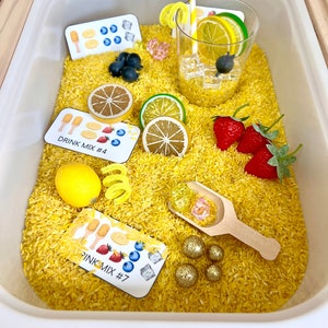 Lemonade Stand Sensory Learning Kit - Etsy
