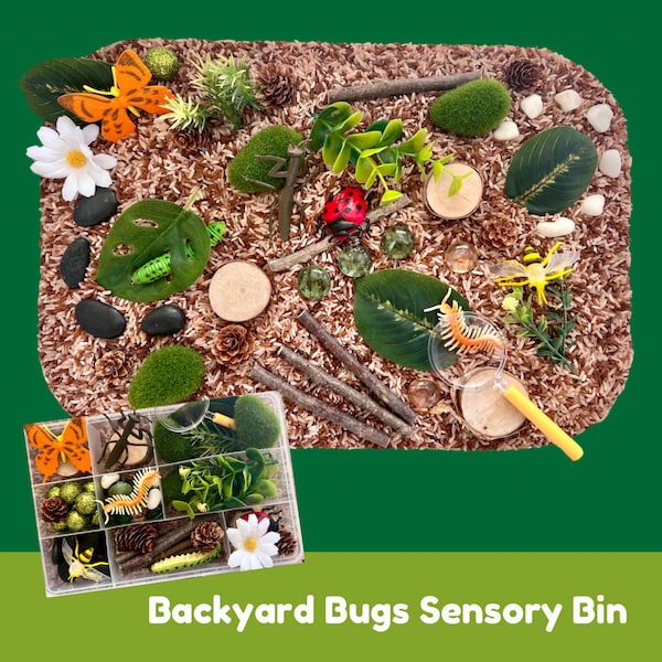 Sensory Bin - Etsy