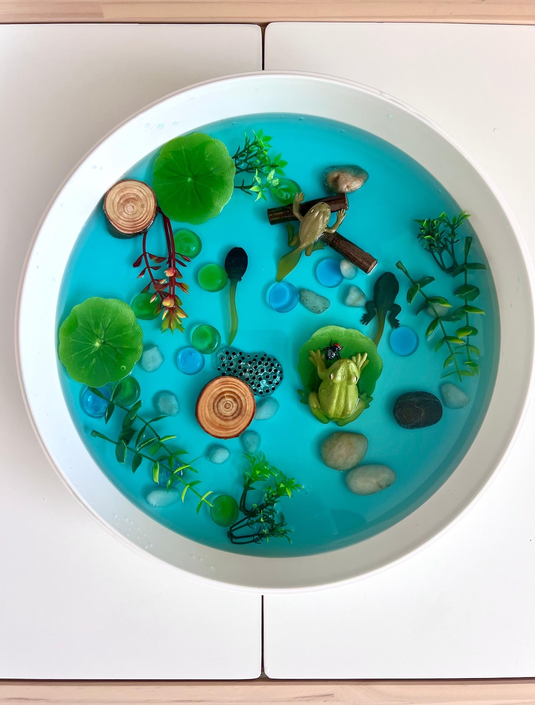 Pond Life Cycle Sensory Kit and Water Play - Etsy