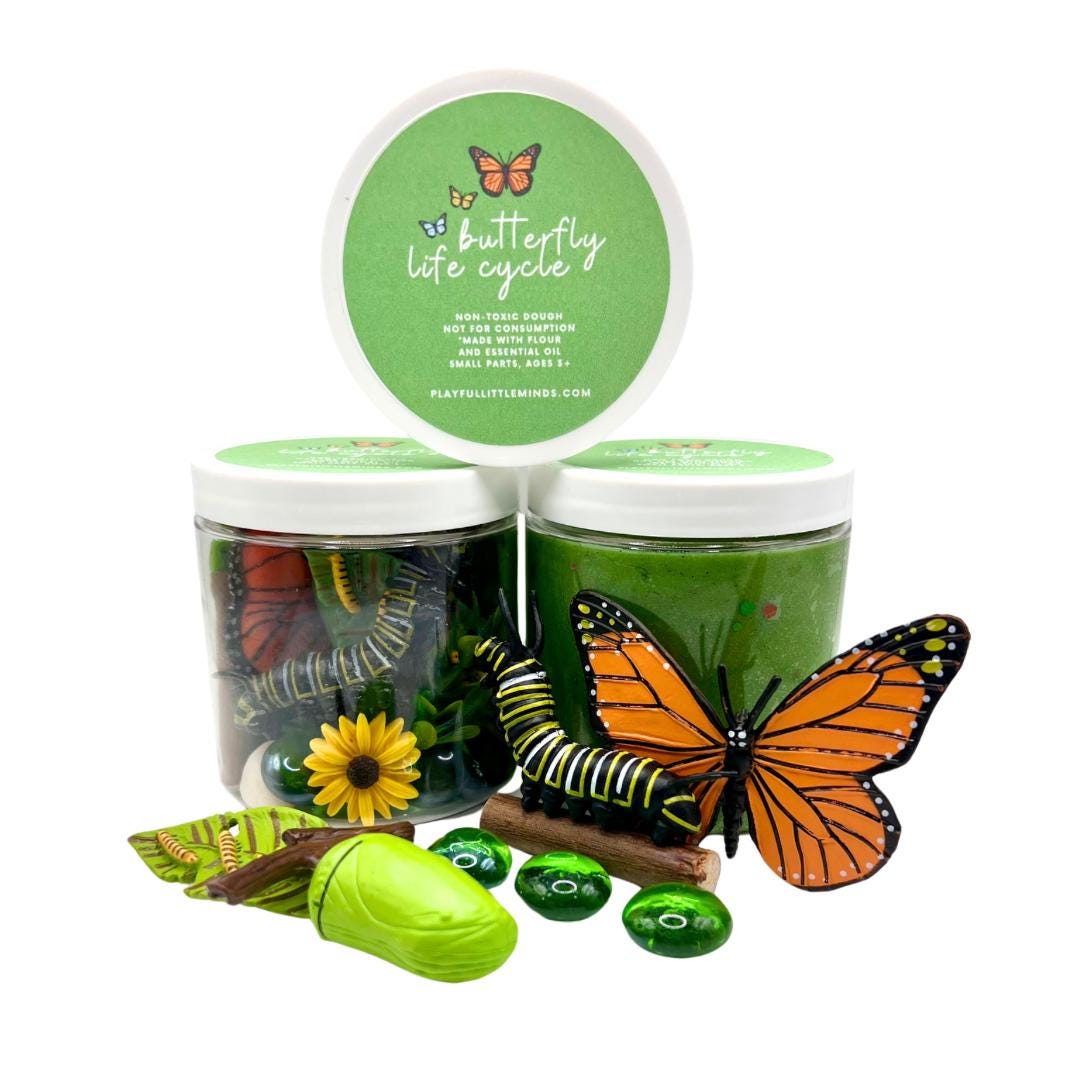 Butterfly Metamorphosis Playdough Set - Etsy
