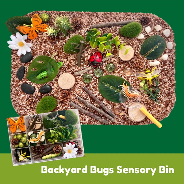Sensory Bin - Etsy