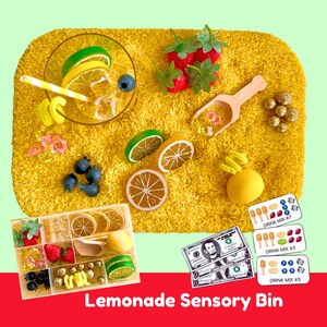 Lemonade Stand Sensory Learning Kit - Etsy