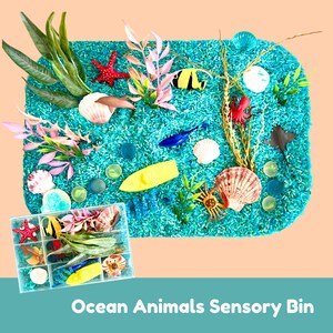 Under the Sea Ocean Animal Toys Sensory Bin - Etsy