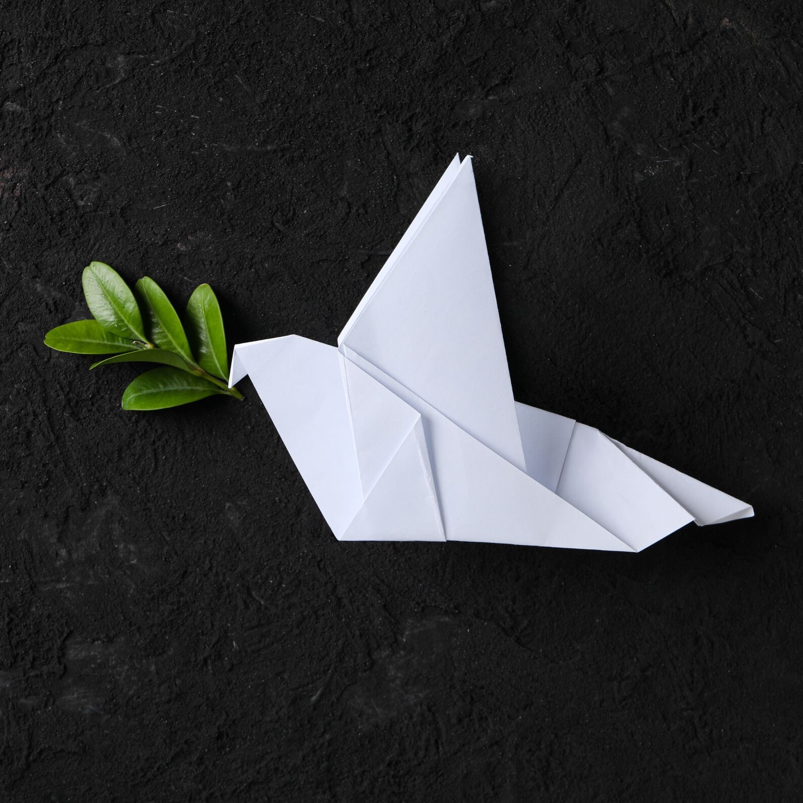 Noah's Ark Origami Dove, Bible Story Activity Kids, Sunday School Craft ...