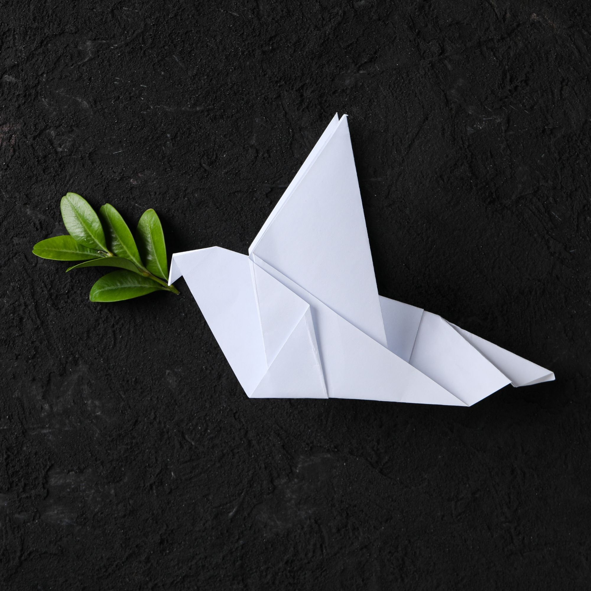 Noah's Ark Origami Dove, Bible Story Activity Kids, Sunday School Craft ...