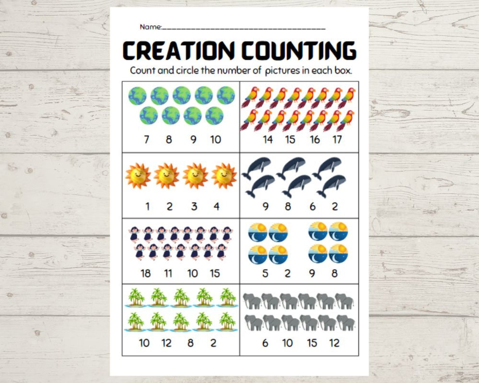 Days of Creation Bundle, Sunday School Activity, Bible Lesson Pages ...