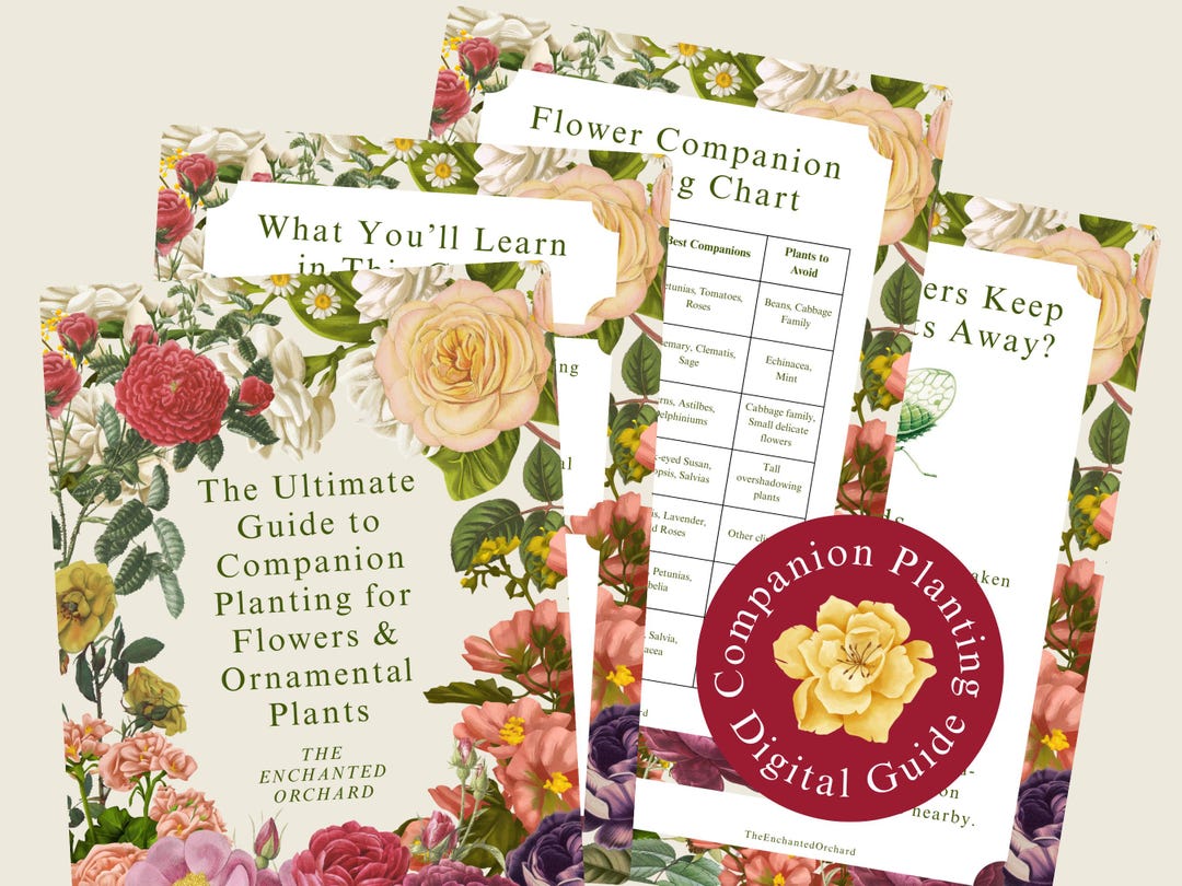 Companion Planting Guide Flower Garden Planner Organic Gardener ...