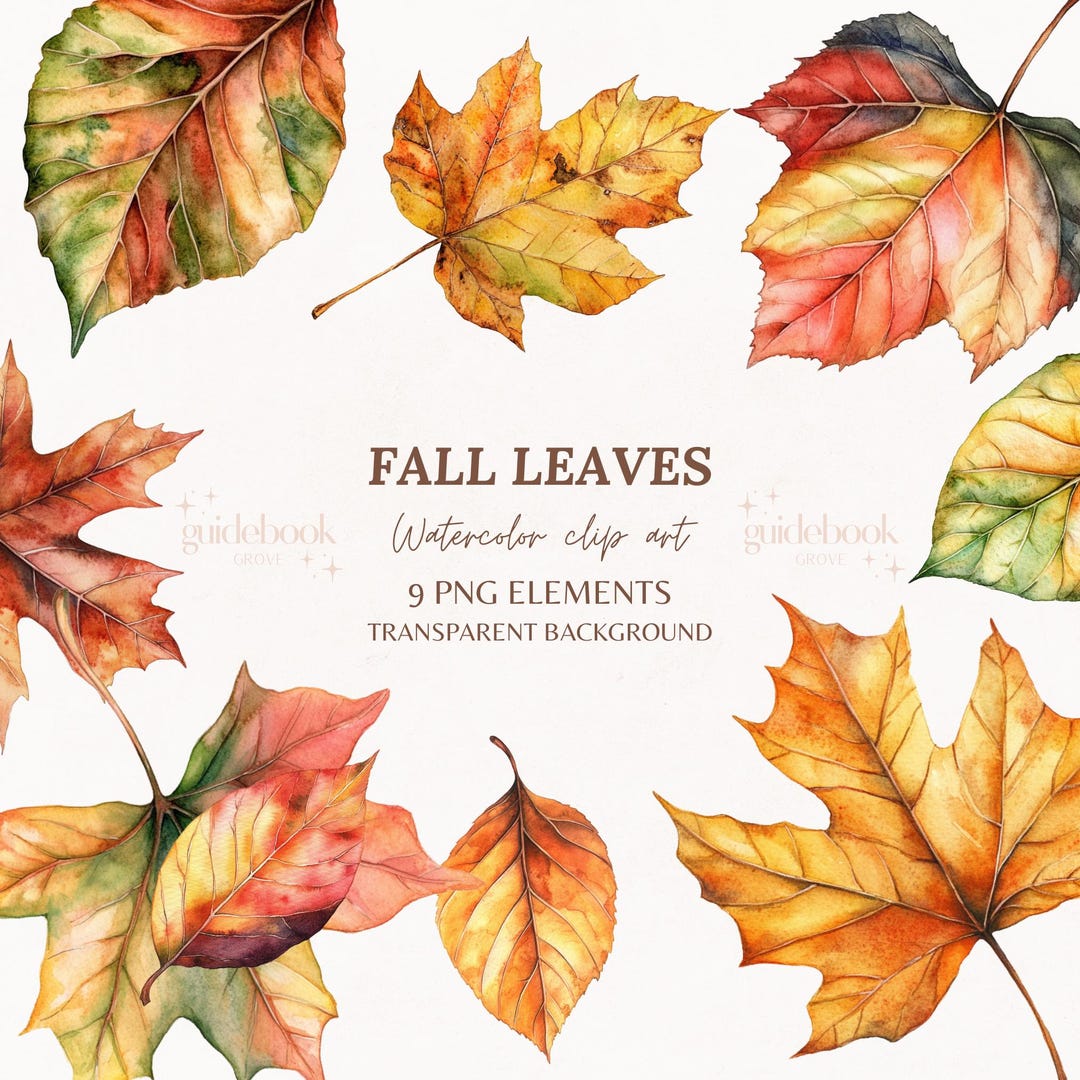 Watercolor Fall Leaves Clipart, Fall Clipart, Autumn Decor, Woodland ...
