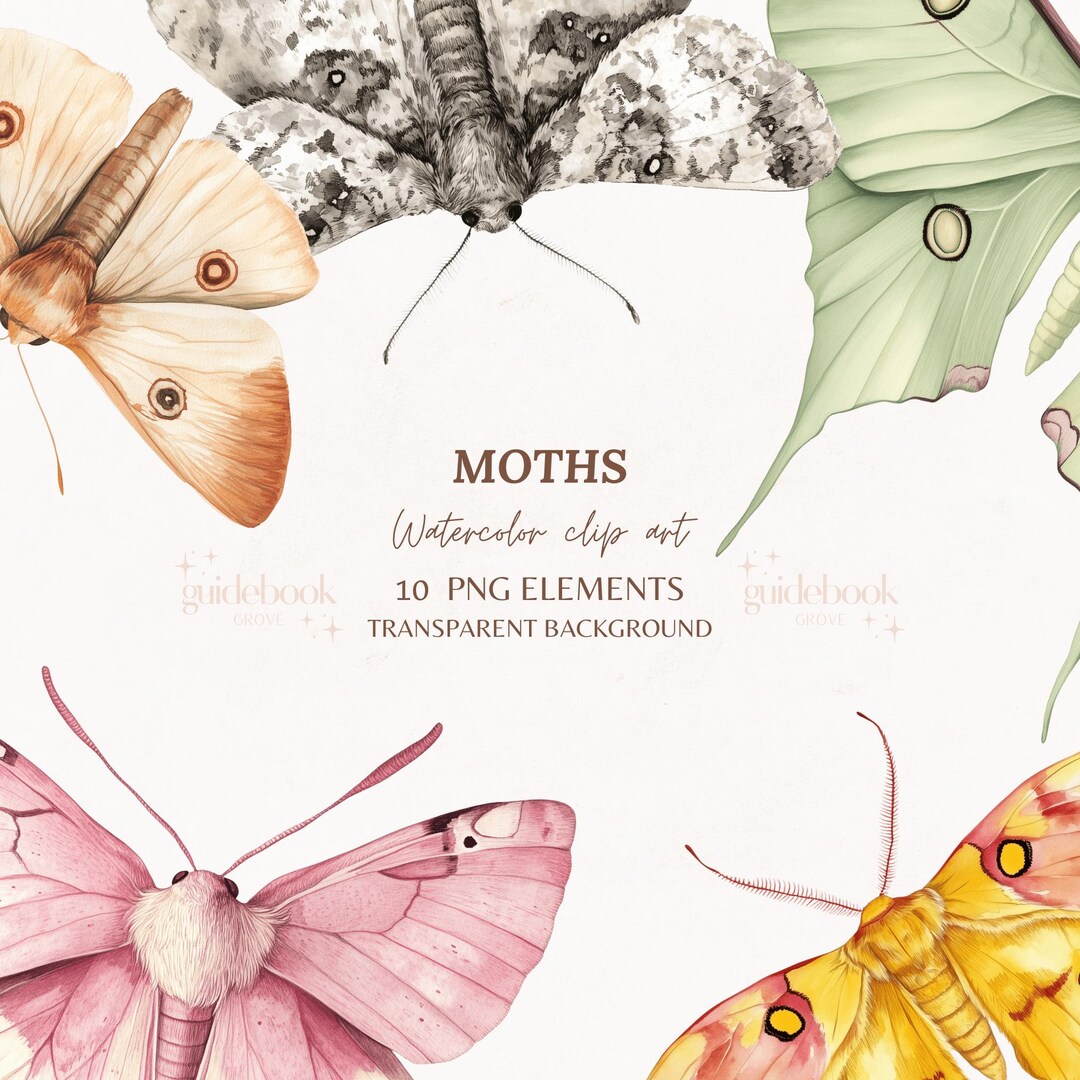 Watercolor Moths PNG Clipart, Moth Pink, Blue Moths, Yellow, Luna Moth ...