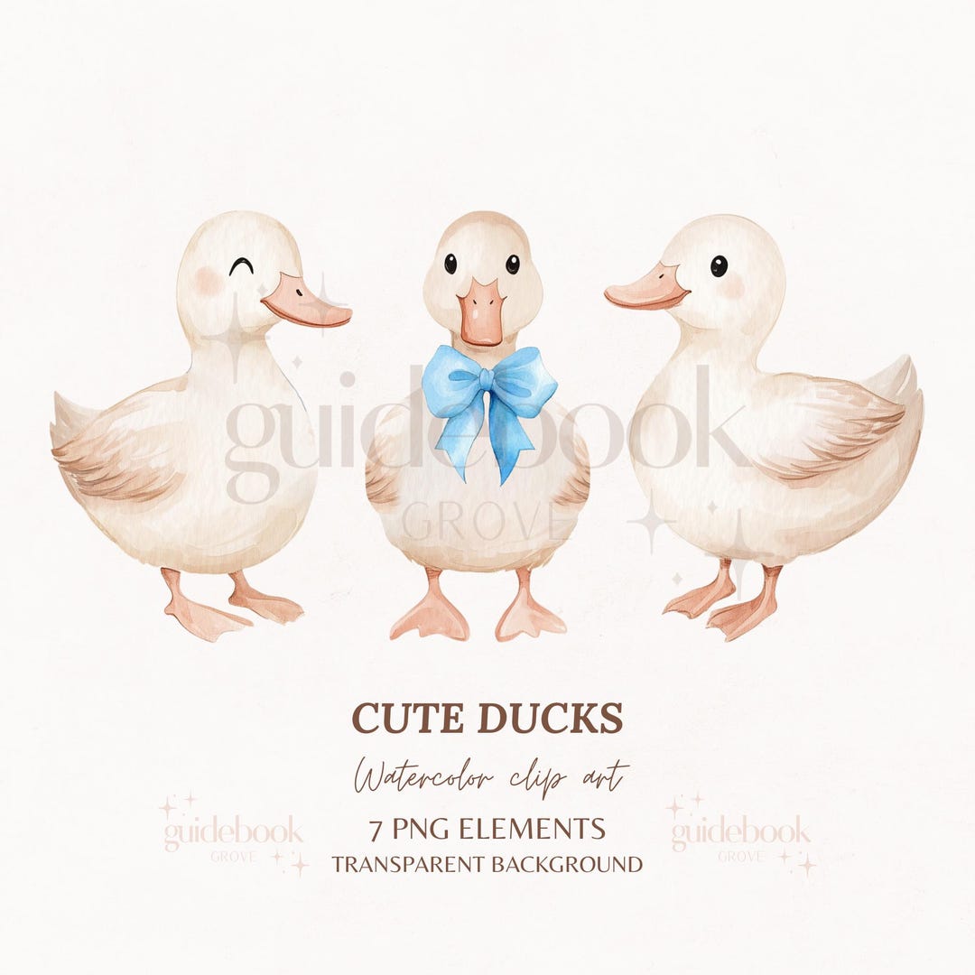 Watercolor Ducks Clipart, Cute Duck Illustrations, Farm Animals Digital ...