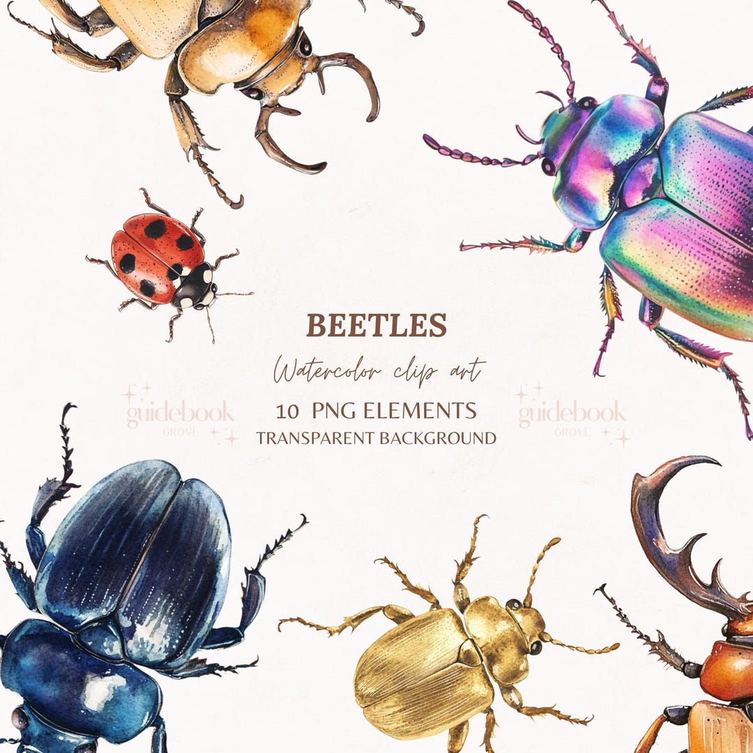 Watercolor Beetles PNG Clipart, Watercolor Beetles, Bug Download ...