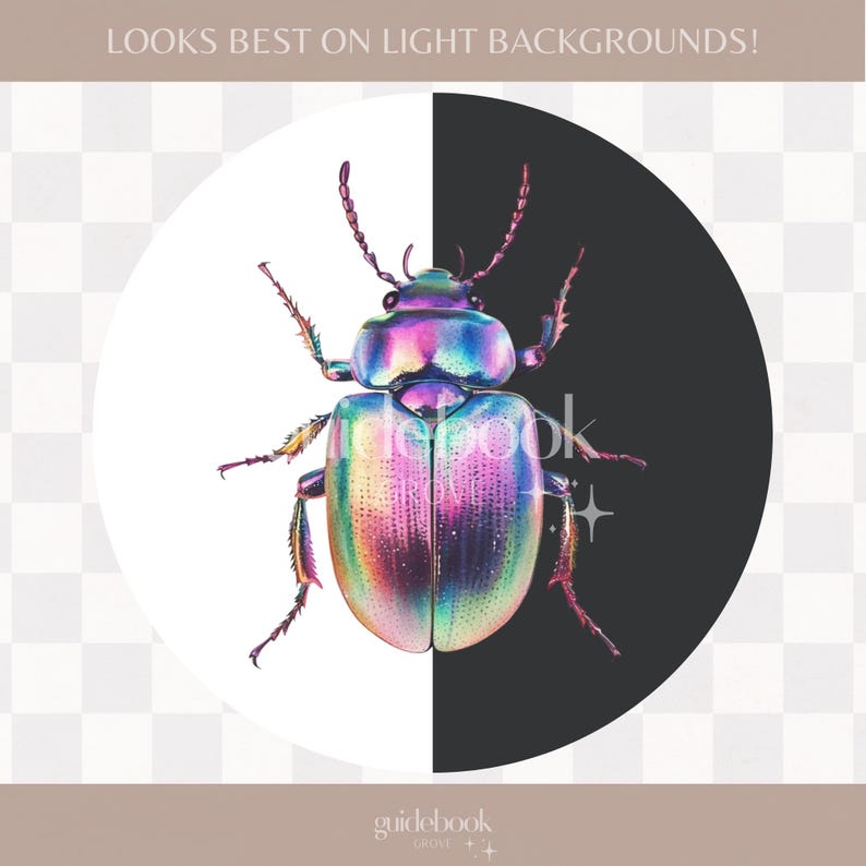 Watercolor Beetles PNG Clipart, Watercolor Beetles, Bug Download ...