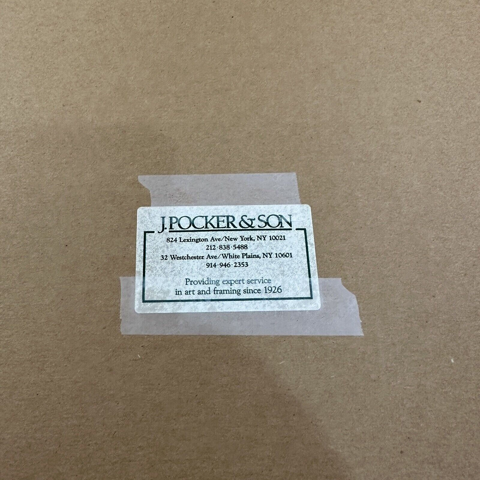 Adam Ludwig Wirsing TULIP Botanical Flower Floral Print 1987 - Etsy