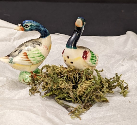 Duck salt and pepper shakers store