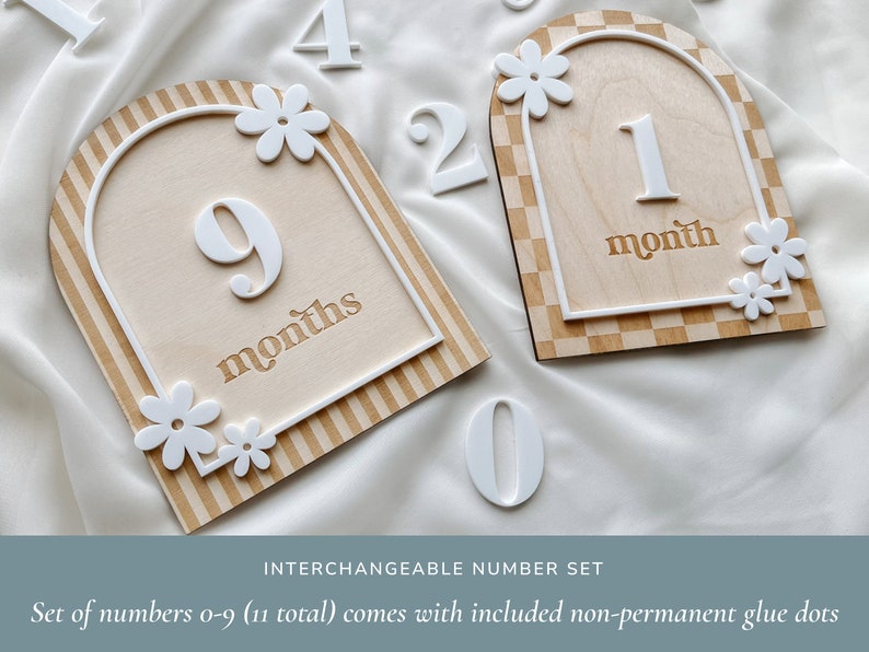 Milestone Marker Monthly Milestone Baby Girl Monthly Milestone Flower ...