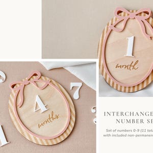 Baby Girl Monthly Milestone Pink Bow Baby Girl Milestone Marker Girl ...