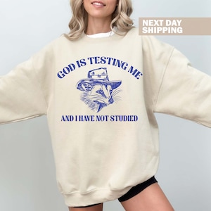 God is Testing Me Funny Unisex Sweatshirt, Possum Shirt, Meme Shirt ...
