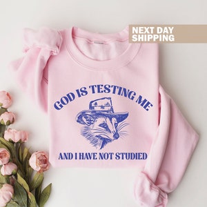 God is Testing Me Funny Unisex Sweatshirt, Possum Shirt, Meme Shirt ...