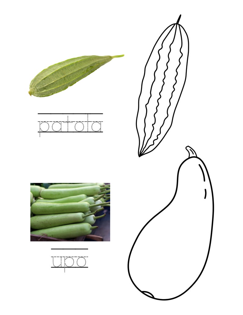 Coloring and Tracing Practice Sheets for Toddlers & Preschool Kids mga ...