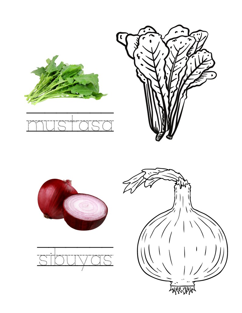 Bahay Kubo Coloring Book: Filipino Culture, Toddler Learning (PDF) - Etsy