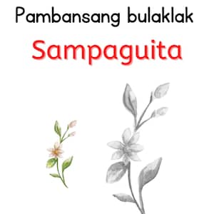 Bahay Kubo Coloring Book: Filipino Culture, Toddler Learning (PDF) - Etsy