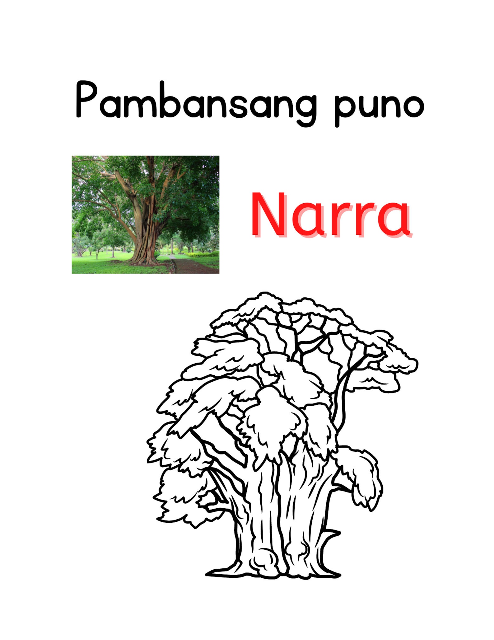 Mga Pambansang Sagisag ng Pilipinas Coloring Pages for Kids - Etsy Schweiz