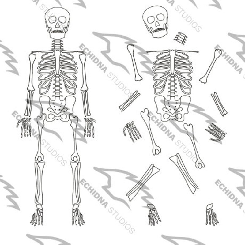 Skeleton Body Pillow - Etsy