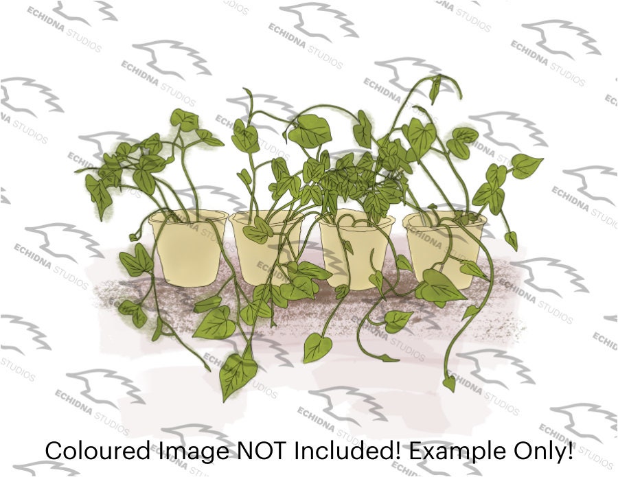 Seedlings Digital Stamp (svg, Png, Pdf, Jpg) - Etsy