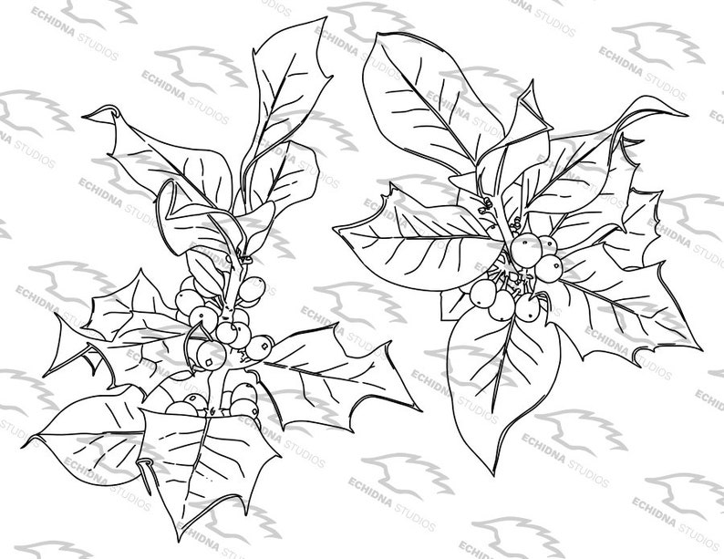 Holly Leaves Digital Stamp (svg, Png, Pdf, Jpg) Instant Download, Digi ...