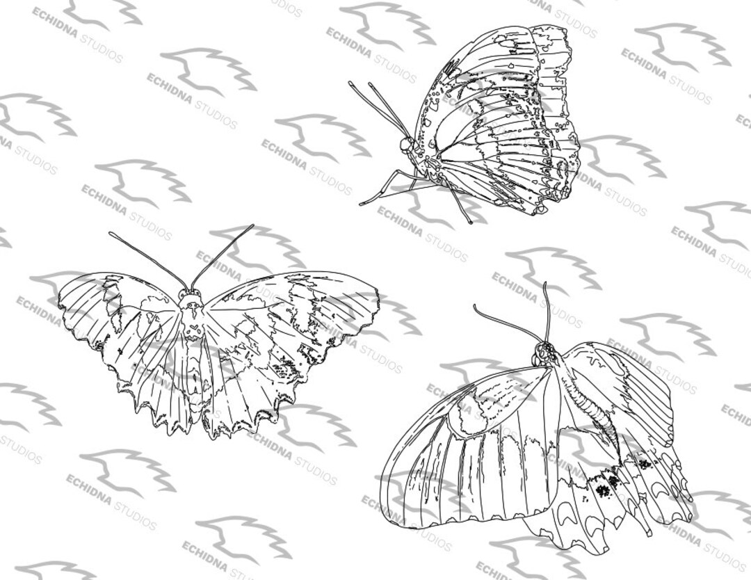 Butterflies Digital Stamp (svg, Png, Pdf, Jpg) - Etsy